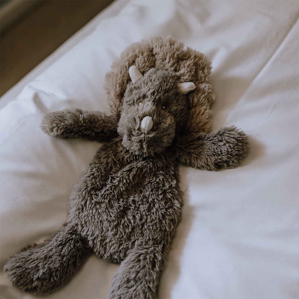 Houston Heavy Teddy 毛絨玩具 - Dino – OhbabyMacau
