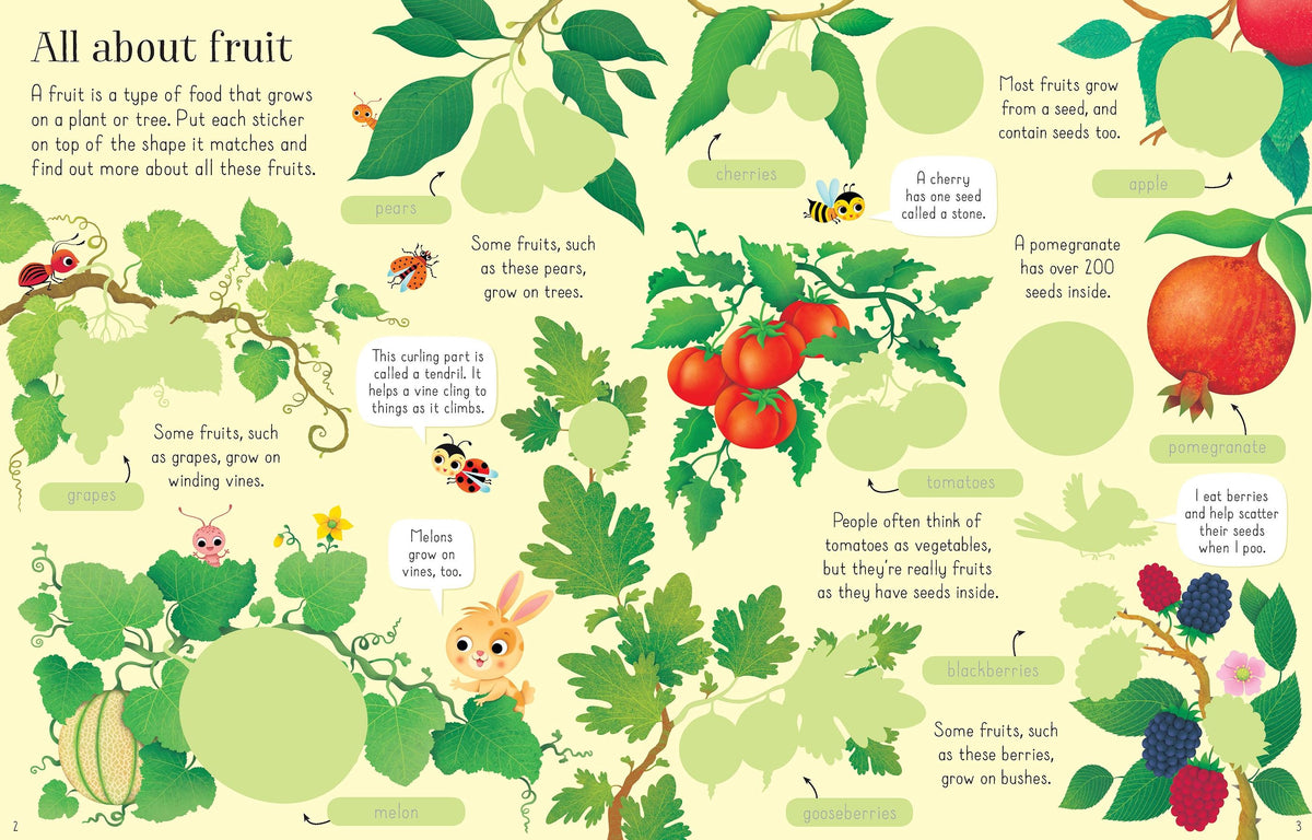First Sticker Book Fruit and Vegetables 貼紙書 – OhbabyMacau